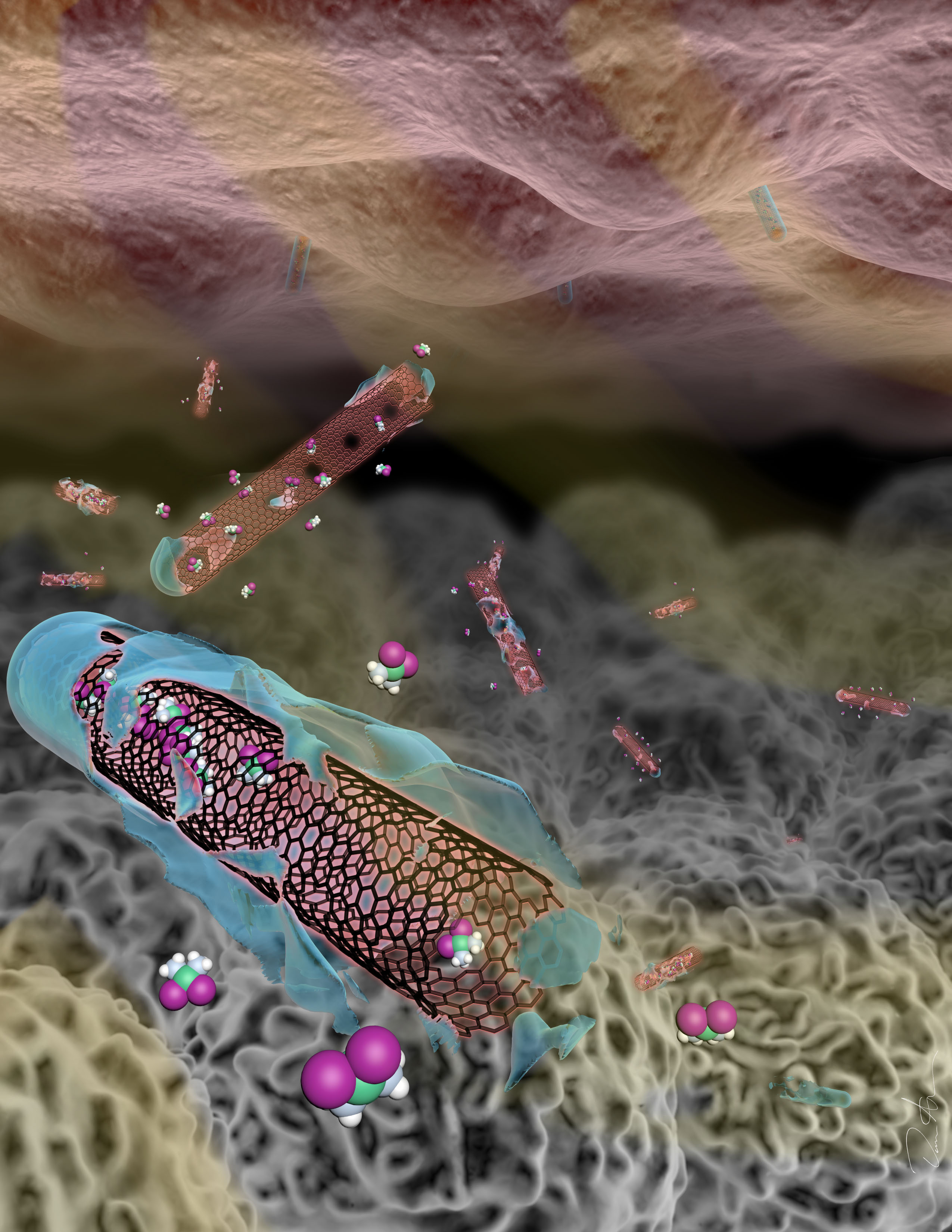 Dr. Steven Curley's Blog | Oncology Institute Director at Christus ...